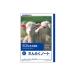 色覚の違いを考慮し、科目ごとに全6色のカラーユニバーサルデザインを採用。中紙には植林木を使用し社会・環境に配慮した商品です。_OCAHOL_GOOD DESIGN賞受賞商品。岩合光照氏の、いきいきとした動物の姿をとらえた写真を表紙に採用。色...