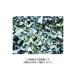 _OCAHOL_●長期間屋外で使用してもカビが生えたり腐敗したりしません。●葉の形に似せてカットされたレギュラーカットタイプです。●頑丈なメッシュがついたミリタリータイプです。●ウォータープルーフです。●高品質なリップストップファブリックを...