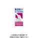 _OCAHOL_●日本語、英語、中国語、韓国語の4ヶ国語で注意を促します。●労働環境の国際化に対応した表記内容です。●多国籍国対応の安全標識です。_OCAHOL_インテリア・家具・収納 ＞ 屋外用品・ガーデニング ＞ 安全用品 ＞ 安全標識
