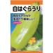 長さ25cm位　やわらかい瓜_OCAHOL_長さ25cm位　やわらかい瓜_OCAHOL_インテリア・家具・収納 ＞ 屋外用品・ガーデニング ＞ ガーデニング・造園用品 ＞ その他 ガーデニング用品