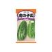 非常にやわらかく作りやすい　漬け瓜に_OCAHOL_非常にやわらかく作りやすい　漬け瓜に_OCAHOL_インテリア・家具・収納 ＞ 屋外用品・ガーデニング ＞ ガーデニング・造園用品 ＞ その他 ガーデニング用品