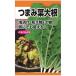 ビタミン豊富な健康野菜_OCAHOL_ビタミン豊富な健康野菜_OCAHOL_インテリア・家具・収納 ＞ 屋外用品・ガーデニング ＞ ガーデニング・造園用品 ＞ その他 ガーデニング用品