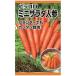 生育の早いミニサラダニンジン_OCAHOL_生育の早いミニサラダニンジン_OCAHOL_インテリア・家具・収納 ＞ 屋外用品・ガーデニング ＞ ガーデニング・造園用品 ＞ その他 ガーデニング用品