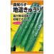 春・夏まきに良し。霜知らず_OCAHOL_春・夏まきに良し。霜知らず。夏から霜の降りる頃まで収穫できる。歯切れがよく食味が良い。_OCAHOL_インテリア・家具・収納 ＞ 屋外用品・ガーデニング ＞ ガーデニング・造園用品 ＞ その他 ガー...