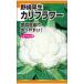 耐病性に優れ栽培カンタン_OCAHOL_耐病性に優れ栽培カンタン。栽培適応性の広い早生品種。ロングセラーの固定種カリフラワー。_OCAHOL_インテリア・家具・収納 ＞ 屋外用品・ガーデニング ＞ ガーデニング・造園用品 ＞ その他 ガーデ...