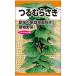 ビタミン・ミネラル豊富な健康野菜_OCAHOL_ビタミン・ミネラル豊富な健康野菜。暑さに強く生育旺盛なつる性植物。初夏から秋まで収穫できる。_OCAHOL_インテリア・家具・収納 ＞ 屋外用品・ガーデニング ＞ ガーデニング・造園用品 ＞ ...