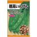 人気種。耐病・暑さに強い。_OCAHOL_人気種。耐病・暑さに強い。長野県在来のつるあり平さやいんげん。草勢旺盛で作りやすく、たくさん採れる。_OCAHOL_インテリア・家具・収納 ＞ 屋外用品・ガーデニング ＞ ガーデニング・造園用品 ＞...