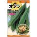 60日位から収穫できる五角オクラ。_OCAHOL_60日位から収穫できる五角オクラ。_OCAHOL_インテリア・家具・収納 ＞ 屋外用品・ガーデニング ＞ ガーデニング・造園用品 ＞ その他 ガーデニング用品