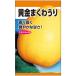 黄金色の大型種_OCAHOL_黄金色の大型種。草勢強く、作りやすい。爽やかな甘みとサクサクした食感が根強い人気。_OCAHOL_インテリア・家具・収納 ＞ 屋外用品・ガーデニング ＞ ガーデニング・造園用品 ＞ その他 ガーデニング用品