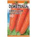 β-カロテンが豊富・甘味があり食味最高_OCAHOL_β-カロテンが豊富・甘味があり食味最高_OCAHOL_インテリア・家具・収納 ＞ 屋外用品・ガーデニング ＞ ガーデニング・造園用品 ＞ その他 ガーデニング用品