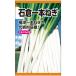根深ねぎの代表的な品種_OCAHOL_根深ねぎの代表的な品種。甘みがあり美味しい。寒さに当てればさらに甘みは増す。作りやすい。土寄せを上手に行えば軟白部は40cm以上にも育つ。_OCAHOL_インテリア・家具・収納 ＞ 屋外用品・ガーデニン...