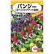 早春に咲く花壇の人気種_OCAHOL_早春に咲く花壇の人気種_OCAHOL_インテリア・家具・収納 ＞ 屋外用品・ガーデニング ＞ ガーデニング・造園用品 ＞ その他 ガーデニング用品
