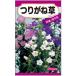 色の組み合わせが美しい！切り花向き_OCAHOL_色の組み合わせが美しい！切り花向き。_OCAHOL_インテリア・家具・収納 ＞ 屋外用品・ガーデニング ＞ ガーデニング・造園用品 ＞ その他 ガーデニング用品