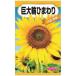 夏の花の代名詞_OCAHOL_夏の花の代名詞_OCAHOL_インテリア・家具・収納 ＞ 屋外用品・ガーデニング ＞ ガーデニング・造園用品 ＞ その他 ガーデニング用品