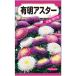 切り花として欠かせない花　切り花向き_OCAHOL_切り花として欠かせない花で切り花向き。_OCAHOL_インテリア・家具・収納 ＞ 屋外用品・ガーデニング ＞ ガーデニング・造園用品 ＞ その他 ガーデニング用品
