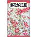 花壇でも鉢植えでも良し！_OCAHOL_花壇でも鉢植えでも良し！_OCAHOL_インテリア・家具・収納 ＞ 屋外用品・ガーデニング ＞ ガーデニング・造園用品 ＞ その他 ガーデニング用品