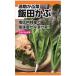 冬越しの漬菜に高冷地・寒地に適す。_OCAHOL_冬越しの漬菜に高冷地・寒地に適す。ガーデニングや家庭菜園を楽しみたい方におすすめの野菜・花の種です。オフィスやエントランス・玄関、門や外構の雰囲気づくり、植物を育てる学習や食育、理科の観察・...