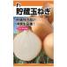 長期貯蔵性抜群品質・食味に優れる_OCAHOL_長期貯蔵性抜群品質・食味に優れる。ガーデニングや家庭菜園を楽しみたい方におすすめの野菜・花の種です。オフィスやエントランス・玄関、門や外構の雰囲気づくり、植物を育てる学習や食育、理科の観察・植...