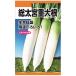 生育旺盛手軽に作れる。_OCAHOL_生育旺盛手軽に作れる。ガーデニングや家庭菜園を楽しみたい方におすすめの野菜・花の種です。オフィスやエントランス・玄関、門や外構の雰囲気づくり、植物を育てる学習や食育、理科の観察・植物研究にも最適です。_...