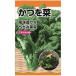 特有のちぢみが特徴_OCAHOL_特有のちぢみが特徴。ガーデニングや家庭菜園を楽しみたい方におすすめの野菜・花の種です。オフィスやエントランス・玄関、門や外構の雰囲気づくり、植物を育てる学習や食育、理科の観察・植物研究にも最適です。_OCA...