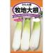 味わい深く甘味辛味の絶妙なバランス_OCAHOL_味わい深く甘味辛味の絶妙なバランス。ガーデニングや家庭菜園を楽しみたい方におすすめの野菜・花の種です。オフィスやエントランス・玄関、門や外構の雰囲気づくり、植物を育てる学習や食育、理科の観察...