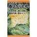 秋まき春一番に収穫。食味の良い春キャベツ_OCAHOL_秋まき春一番に収穫。食味の良い春キャベツ。ガーデニングや家庭菜園を楽しみたい方におすすめの野菜・花の種です。オフィスやエントランス・玄関、門や外構の雰囲気づくり、植物を育てる学習や食育...