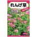 花だん・切り花に好適！真黄色の花を咲かせます。_OCAHOL_花だん・切り花に好適！真黄色の花を咲かせます。ガーデニングや家庭菜園を楽しみたい方におすすめの野菜・花の種です。オフィスやエントランス・玄関、門や外構の雰囲気づくり、植物を育てる...