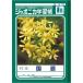 _OCAHOL_学習帳といえばジャポニカ学習帳！！発売以来子供たちに愛され続け表紙は立体商標として登録されています。_OCAHOL_文房具・オフィス・手芸 ＞ 学用品 ＞ 学習帳 ＞ 国語