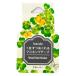 マスキングテープで毎日をもっと楽しく！1枚ずつめくれる、かわいいマスキングテープです。いろんな柄が1枚ずつ切り抜かれていて、シールのように使えます。_OCAHOL_1枚ずつめくって使える、かわいいマスキングテープです。めくるたびに色んな柄が...