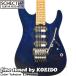 SCHECTER NV-3-24-AL-KO/RN BLU（光栄堂特注モデル）(レビュー特典付き) エレキギター シェクター :52490871:光栄堂楽器Yahoo!店 - 通販 ...