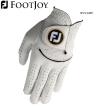 【21年継続モデル】フットジョイ メンズ グローブ プラクテックス FGPT20 (Men's) FOOTJOY PracTex :to-foo-fgpt20:Japan Net Golf ...