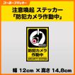 コーヨーステッカー - Yahoo!ショッピング