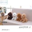 WHISPER U - Yahoo!ショッピング