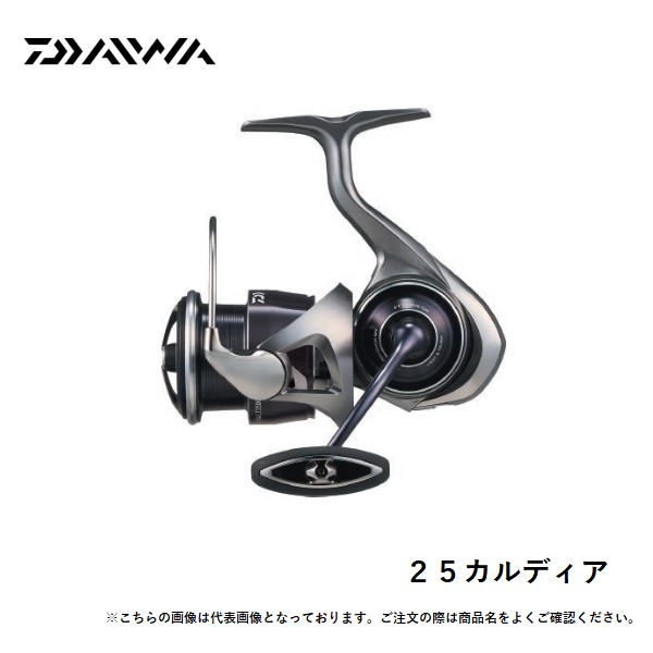 DAIWA（釣り） 25 銀狼 LBQD スピニングリール - 最安値・価格比較 - Yahoo!ショッピング｜口コミ・評判からも探せる