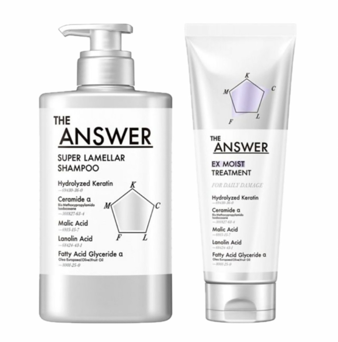 Kao THE ANSWER スーパーラメラシャンプー＆EXモイストトリートメント FOR DAILY DAMAGE セット（400ml＋220g）×1個 THE ANSWER ヘアシャンプー ...