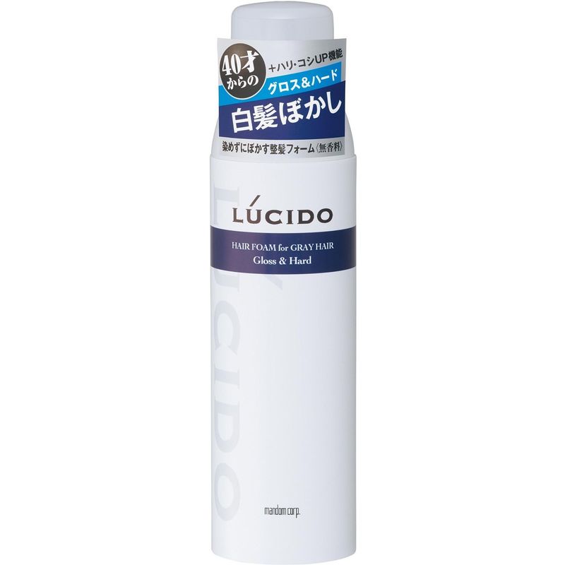 LUCIDO ルシード 白髪用整髪フォーム グロス＆ハード 185g×2個 メンズヘアスタイリング、整髪料 - 最安値・価格比較 - Yahoo!ショッピング｜口コミ・評判からも探せる
