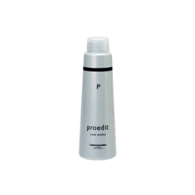 LebeL プロエディット ケアワークス PPT 150ml×1 proedit トリートメント、ヘアパック - 最安値・価格比較 - Yahoo!ショッピング