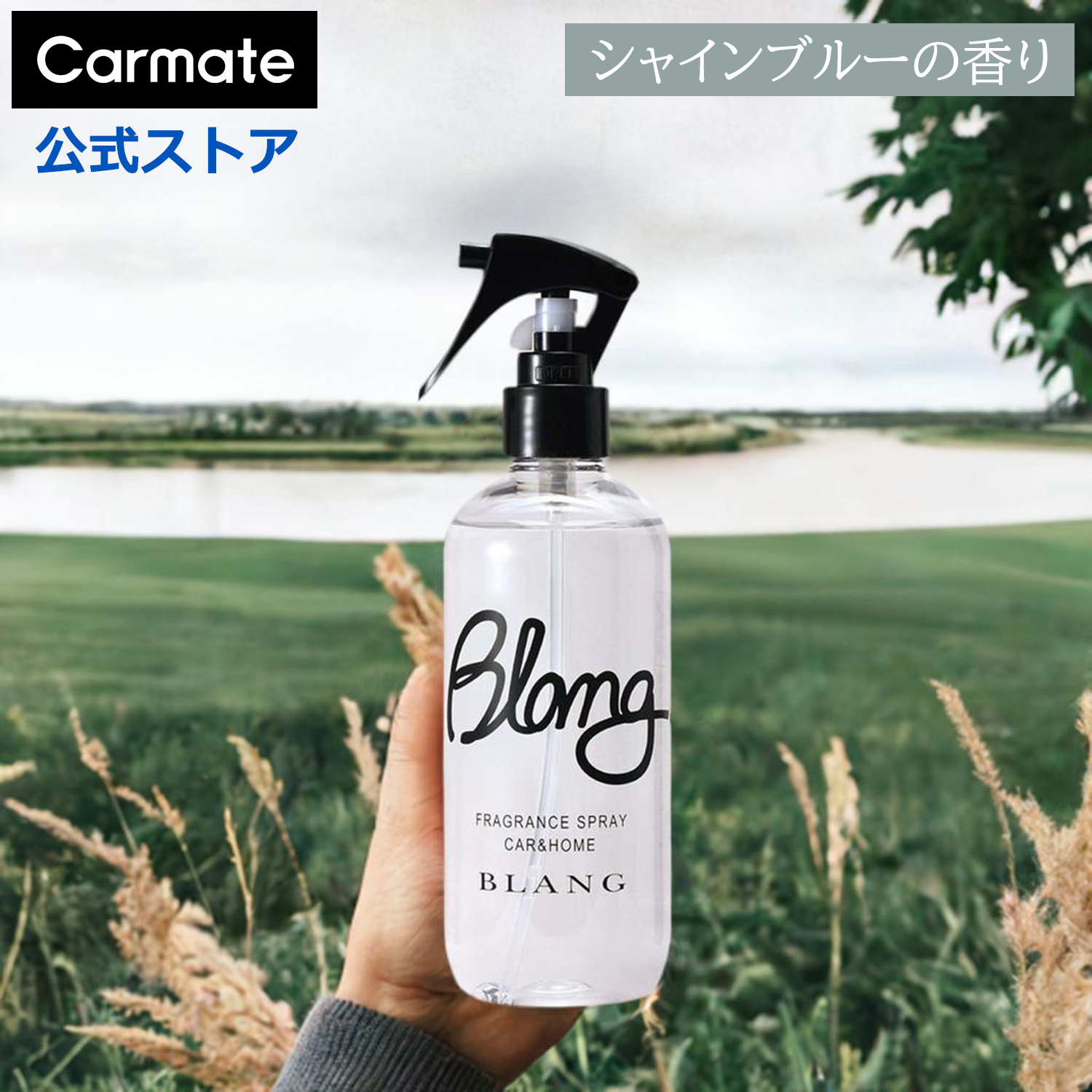 カーメイト Carmate カーメイト BLANG ブラング フレグランススプレーL シャインブルー 300ml L803 BLANG 自動車用 消臭、芳香剤 - 最安値・価格比較 ...
