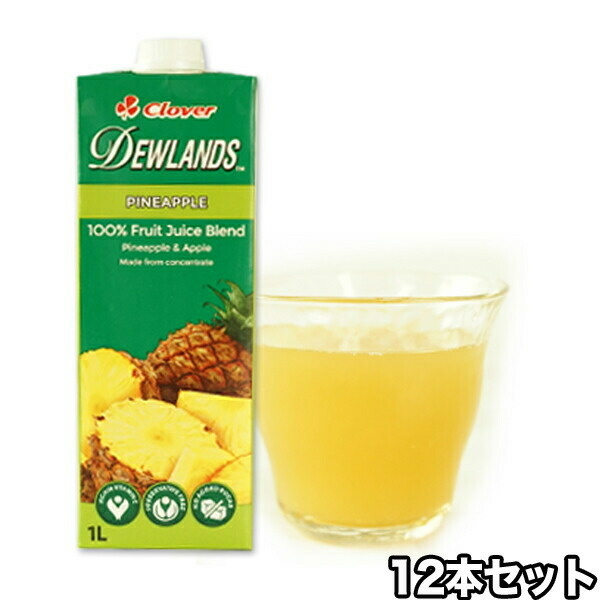 DEWLANDS デューランド パイナップルジュース 紙パック 1L×12 フルーツジュース - 最安値・価格比較 - Yahoo ...