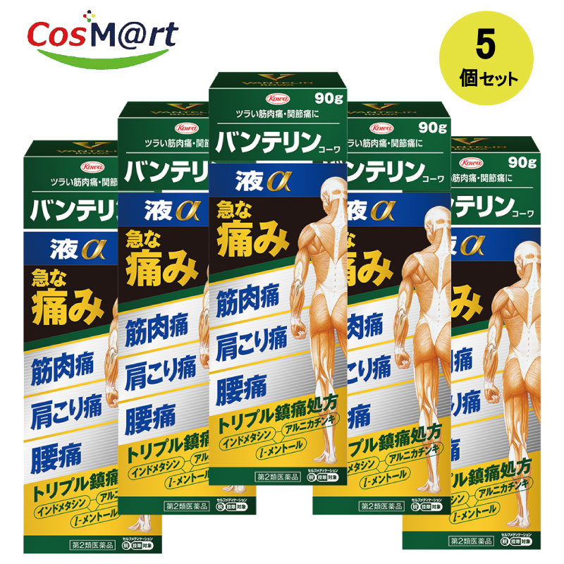 Kowa KOWA バンテリンコーワ液α 90g × 5個 バンテリンコーワ 肩こり、腰痛の塗り薬 - 最安値・価格比較 - Yahoo!ショッピング｜口コミ・評判からも探せる