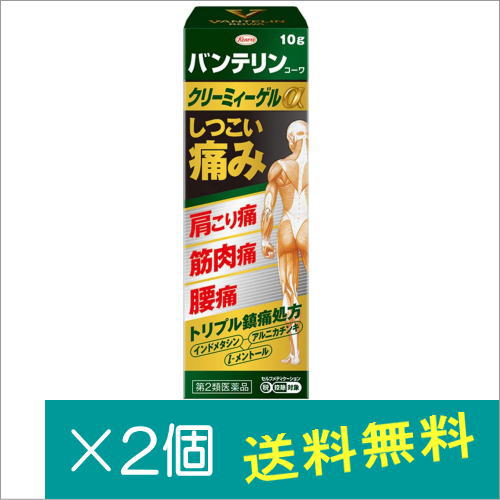 Kowa KOWA バンテリンコーワクリーミィーゲルα 10g × 2個 バンテリンコーワ 肩こり、腰痛の塗り薬 - 最安値・価格比較 - Yahoo!ショッピング｜口コミ・評判からも探せる