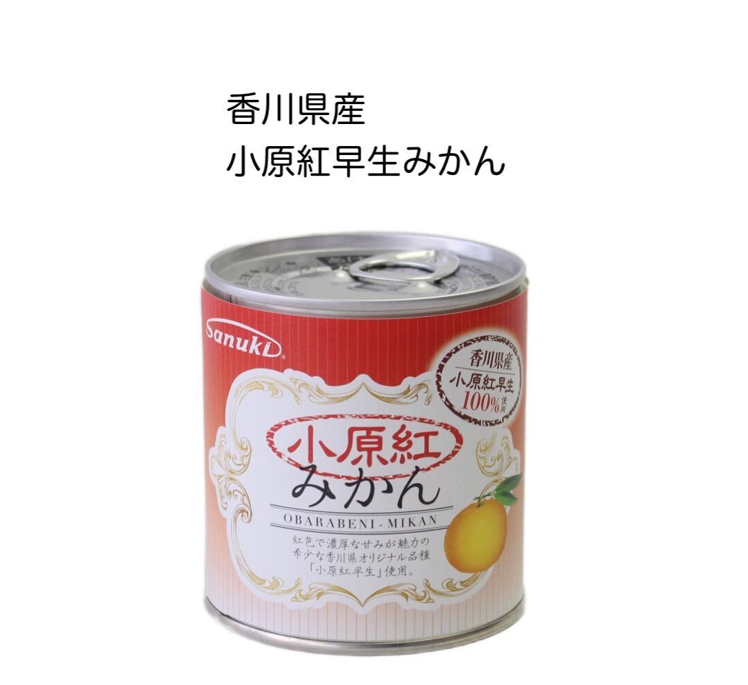 讃岐缶詰 小原紅みかん缶詰 EO5号 295g×1缶 缶詰 - 最安値・価格比較 - Yahoo!ショッピング｜口コミ・評判からも探せる