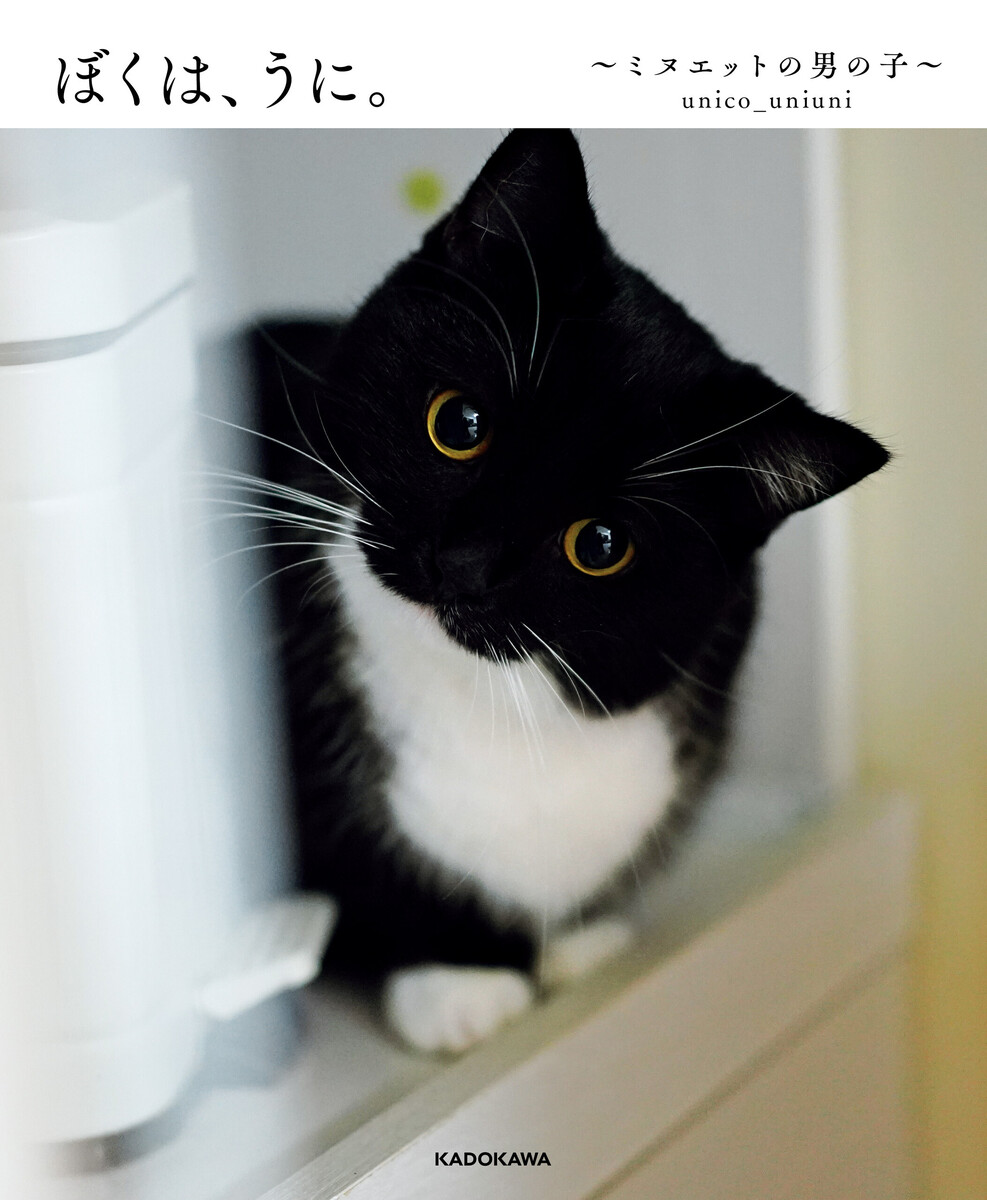 ぼくは、うに。 ミヌエットの男の子 unico_uniuni／著 ペット写真集 - 最安値・価格比較 - Yahoo!ショッピング｜口コミ ...