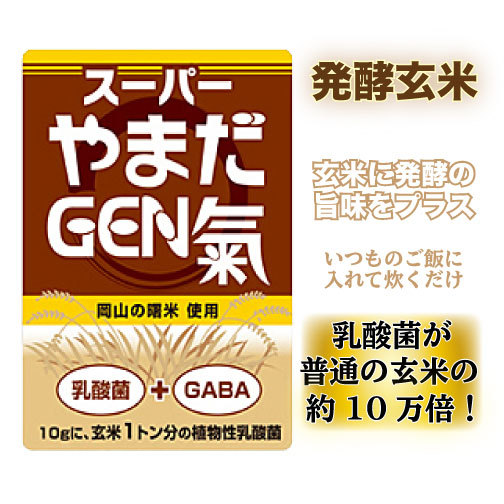 ニュー・サイエンス スーパーやまだGEN氣 玄米 500g×1袋 うるち米、玄米 - 最安値・価格比較 - Yahoo!ショッピング｜口コミ・評判からも探せる