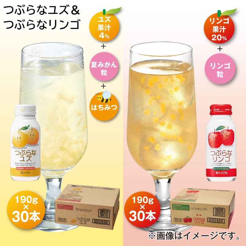 JAフーズおおいた つぶらなユズとつぶらなリンゴ 190g 缶 2種60本入×1 つぶらな フルーツジュース - 最安値・価格比較 - Yahoo!ショッピング｜口コミ・評判からも探せる