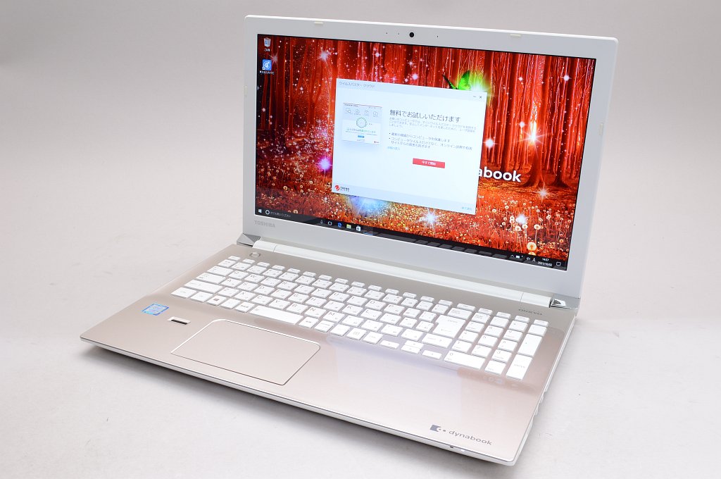 dynabook dynabook EX/65CG サテンゴールド [PTEX-65CBJG] Joshinオリジナル 2017年2月発表モデル dynabook EX Windowsノート ...