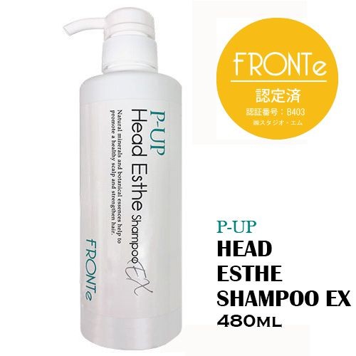 FRONTe ピーアップ ヘッドエステシャンプーEX ポンプ 480ml×1個 P-UP ヘアシャンプー - 最安値・価格比較 - Yahoo!ショッピング