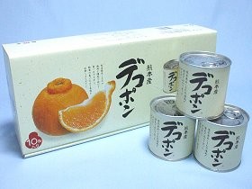 JAあしきた 熊本県産 デコポン缶詰 295g 缶詰 - 最安値・価格比較 - Yahoo!ショッピング