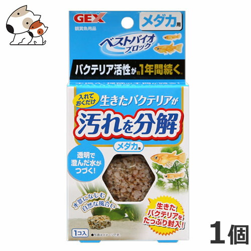 GEX ベストバイオブロック メダカ用 35g 1個 ろ材（水槽、アクアリウム用品） - 最安値・価格比較 - Yahoo!ショッピング