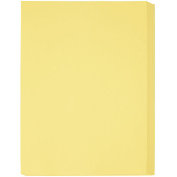 ASKUL アスクル カラーペーパー 厚口 A4 クリーム 500枚×1束 プリンター用紙、コピー用紙 - 最安値・価格比較 - Yahoo!ショッピング｜口コミ・評判からも探せる